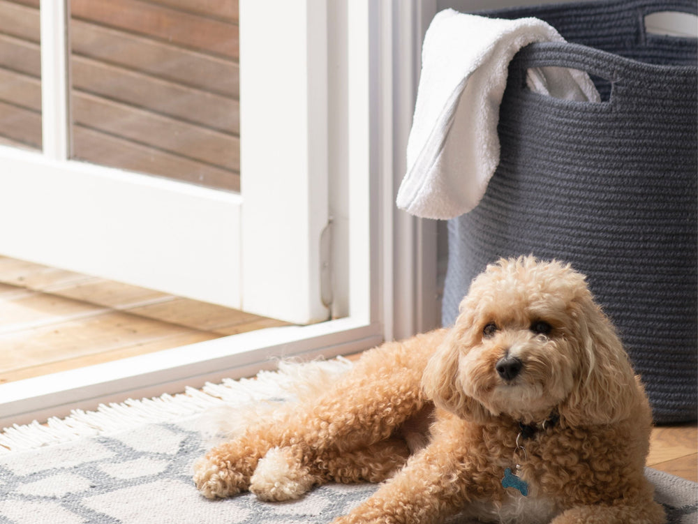 Weaver Green Australia | Indoor & Outdoor Recycled Rugs and Textiles